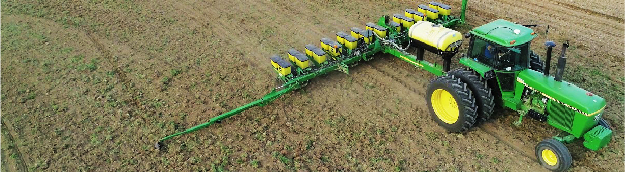 Planting Early vs Planting Late - DONMARIO Seeds